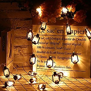 2 Strings Set, Lantern String Lights 9.8ft of 40 LED Lights Mini Vintage Christmas Halloween Decorative Kerosene String Lights for Patio Garden Home Holiday Decoration, Warm White Light (Black)