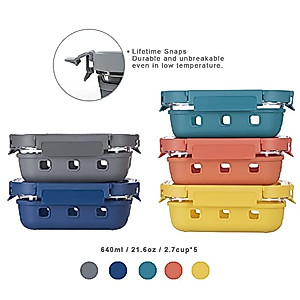 GENICOOK Borosilicate Tempered Glass Food Storage Containers with Glass Lid - Food Grade Silicone Wrap & Air Release Vent, Rectangle shape - 10 pc set (5 Containers - 5 Matching Lids) Multi-colored