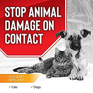 Messina Wildlife Dog & Cat Stopper - Effective, Food Grade Ingredients; Repels Dogs and Cats; Ready to Use, 32 fl. oz. Liquid Trigger Spray Bottle