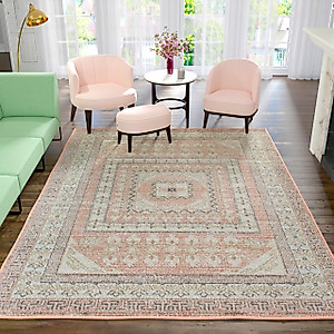 Rugs America Harper HY40A Vintage Transitional Carnation Non-Shedding Living Room Bedroom Dining Home Office Area Rug, 8'0" x 10'0"