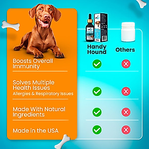 Natural Antibiotics for Dogs – Gentle, Effective Dog Antibiotic - Provides Dog Allergy Relief and Dog Itching Skin Relief - Premium Antibiotics for Dogs with Bacon Flavor
