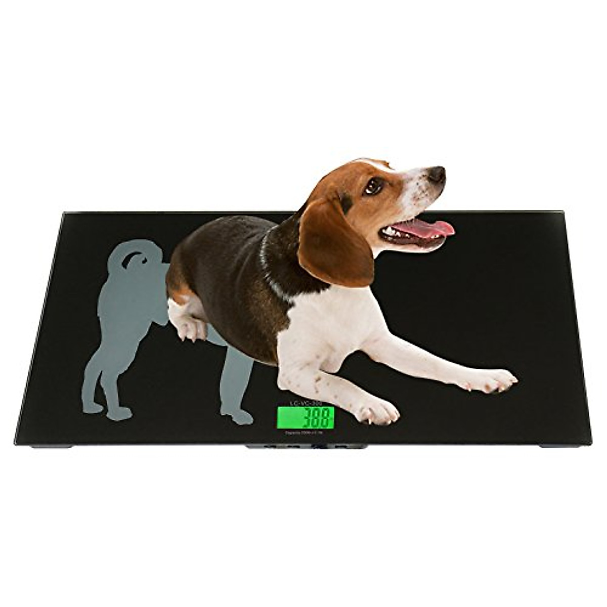LW Measurements LCVS300 Veterinary Scale 330 lb x 0.1lb 33" x 16", LCVS-330