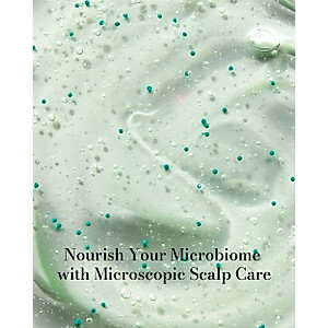 Dr. Groot Genethick7 Hair Treatment Shampoo with Biotin (Microbiome Capsule, 400 ml/13.53 fl oz)