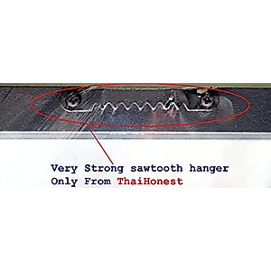 ThaiHonest Real 4 Frog Legged Leaf Beetle Sagra buqueti Insect Taxidermy in Wood Box Display for Collectibles