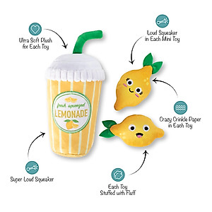 Fringe Studio Plush Dog Toy Set, Pucker Up, 3 Piece Set, Pet Shop Collection (312504)