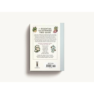 Trees: An Illustrated Field Guide (Illustrated Field Guides)