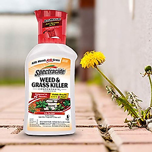 Spectracide Weed and Grass Killer Concentrate, 32 Ounces, With Accumeasure System