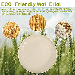 SGAOFIEE 12 PACK 9 Inch Lightweight Wheat Straw Plates, Microwave and Dishwasher Safe BPA Free and Healthy Wheat Straw Plates, Unbreakable Deep Dinner Plates