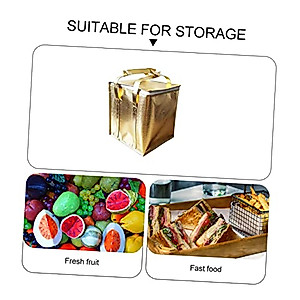 Didiseaon 2pcs Baking Tote Backpack Coolers Ice Pack for Cooler Bag Zippered Tote Take Food Bag Meal Delivery Bag Heated Delivery Cake Pizza Packaging Bag Take-out Food Bag Thermal Bag