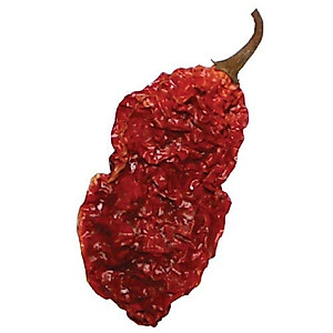 Ghost Pepper Hot Sauce 7 Whole Ghost Peppers Wicked Tickle Bhut Kisser Very Hot