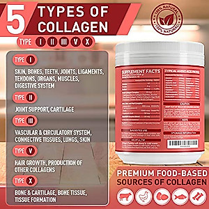 Purely Optimal Premium Multi Collagen Powder - 5 Types of Hydrolyzed Collagen Peptides with Biotin, Hair Skin and Nails Vitamins, Bone & Joint Support - Keto-Friendly, Unflavored (16 oz)