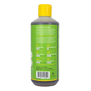 Alaffia Hair Care, Everyday Coconut Shampoo, Gentle & Hydrating Daily Cleansing, Wavy & Curly Hair Products, Vitamin E, Virgin Coconut Oil, Ginger Extract, 16 Fl Oz