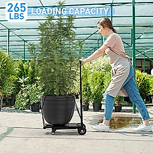 Ronlap Folding Hand Truck, Portable Dolly Cart Foldable Lightweight, 4 Wheels Push Cart Dolly for Moving, 265lbs Heavy Duty Moving Dollys with Wheels, Small Platform Hand Cart with 2 Ropes, Black