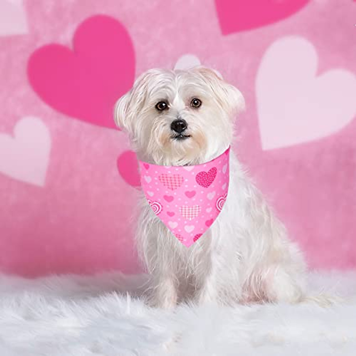 ADOGGYGO Valentine's Day Dog Bandana, Multiple Sizes Offered, Triangle Dog Scarf Valentine Day Bandana for Medium Large Dogs (Large, Valentine's Day)