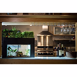 AquaSprouts Garden, Self-Sustaining Desktop Aquarium Aquaponics Ecosystem Kit, fits Standard 10 Gallon Aquariums