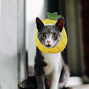 balacoo Elizabeth Circle Cat Healing Collar Small Puppy Collar Catton cat Collar Bite Collar Cat Neck Collar Puppy Collars Adjustable Cat Collar Dog Collar pet Fabric Headgear