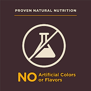 Wellness CORE Digestive Health Dry Puppy Food with Wholesome Grains, Highly Digestible, for Dogs with Sensitive Stomachs, Made in USA with Real Chicken (Puppy Under 1 Year, 4-Pound Bag)
