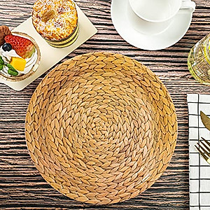 peony man 50 Pack Woven Paper Plates Rattan Printed Disposable Plates Farmhouse Party Dinner Plates Rustic Round Paper Plate 9 Inch for Picnic Dining Wedding Kitchen Home Table Decor