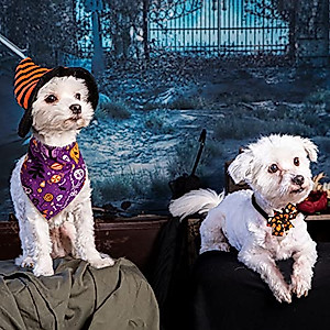 40 Pcs Halloween Dog Bow Ties Set 26 Halloween Pet Bowties 10 Ghost Pumpkin Pet Necktie 4 Dog Bandana Halloween Dog Grooming Accessories for Dog Cat Pet Decor (Ghost Style)