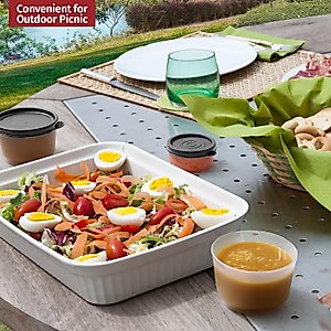 Condiment Cups Containers with Lids- 4 pk. 2.3 oz.Salad Dressing Container to go Small Food Storage Containers with Lids- Sauce Cups Leak proof Reusable Plastic BPA free for Lunch Box Picnic Travel