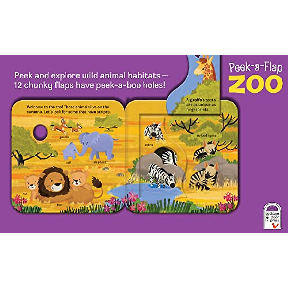 Zoo: Peek-a-Flap Board Book