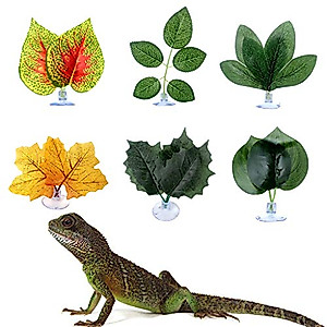 Mllepjdh Betta Fish Hammock Plastics Betta Leaf Pad Aquarium Plant Leaves Accessories for Playing Fish Tanks Hideout Decoration Pet Rainbow Ball Foam Pets Dog Training Training Ball Dog Treat