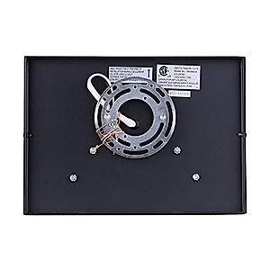 Amazon Brand - Rivet CANARM LTD Kit Integrated LED Outdoor Light Black with Frosted Glass