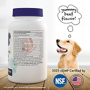 Health Thru Nutrition Dog-Vites Multivitamins for Dogs, Beef-Flavored Chewable Tablets (Pack of 100)