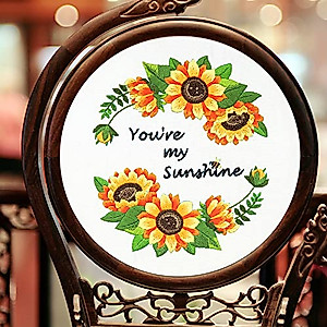 Fanquer Embroidery Kit for Adults 2 Pack Cross Stitch Kits with Pattern Beginners Hoops Needles & Color Threads Needlepoint Supplies Beginners, Multicolor