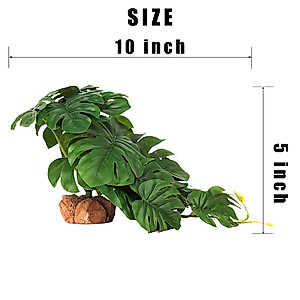 WOLEDOE Reptile Plants for Terrarium, Ball Python Tank Decor Accessories fit Bearded Dragon Crested Leopard Gecko Lizard Chameleon Snake Frog Tortoise Hermit Crab - Fake Monstera