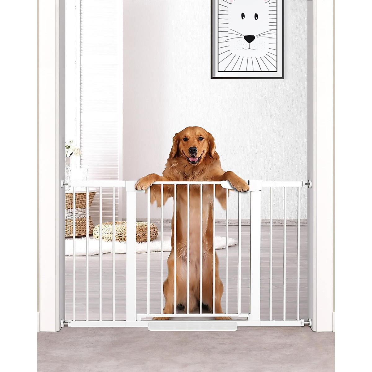 Cumbor 36" Extra Tall, 29.7"- 40.6" Width Baby Gate & Cumbor 30.5" Tall, 29.5"-51.6" Width Dog Gate for House, Stairs, Doorways