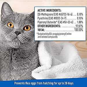 Adams Plus Flea & Tick Foaming Shampoo & Wash for Cats & Kittens Over 12 Weeks | Sensitive Skin Flea Treatment for Cats and Kittens | Kills Adult Fleas, Ticks, and Lice On Contact | 10 Oz