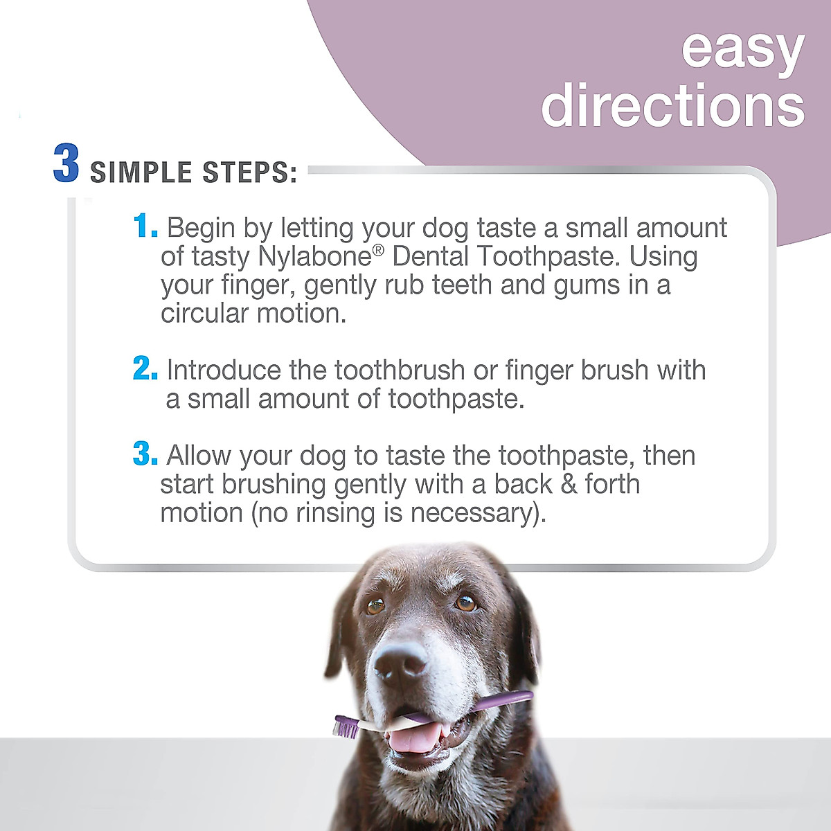 Nylabone Advanced Oral Care Senior Dog Dental Kit Bacon Flavor Small