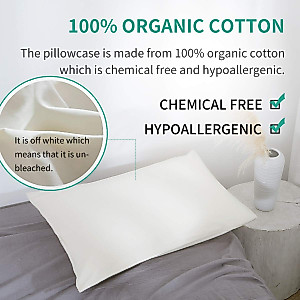 Lofe Organic Cotton Pillow Case - One Pack 16"x 22" Kids Pillow Cover - 300 TC Thread Count - Soft, Safe and Hypoallergenic - Off White