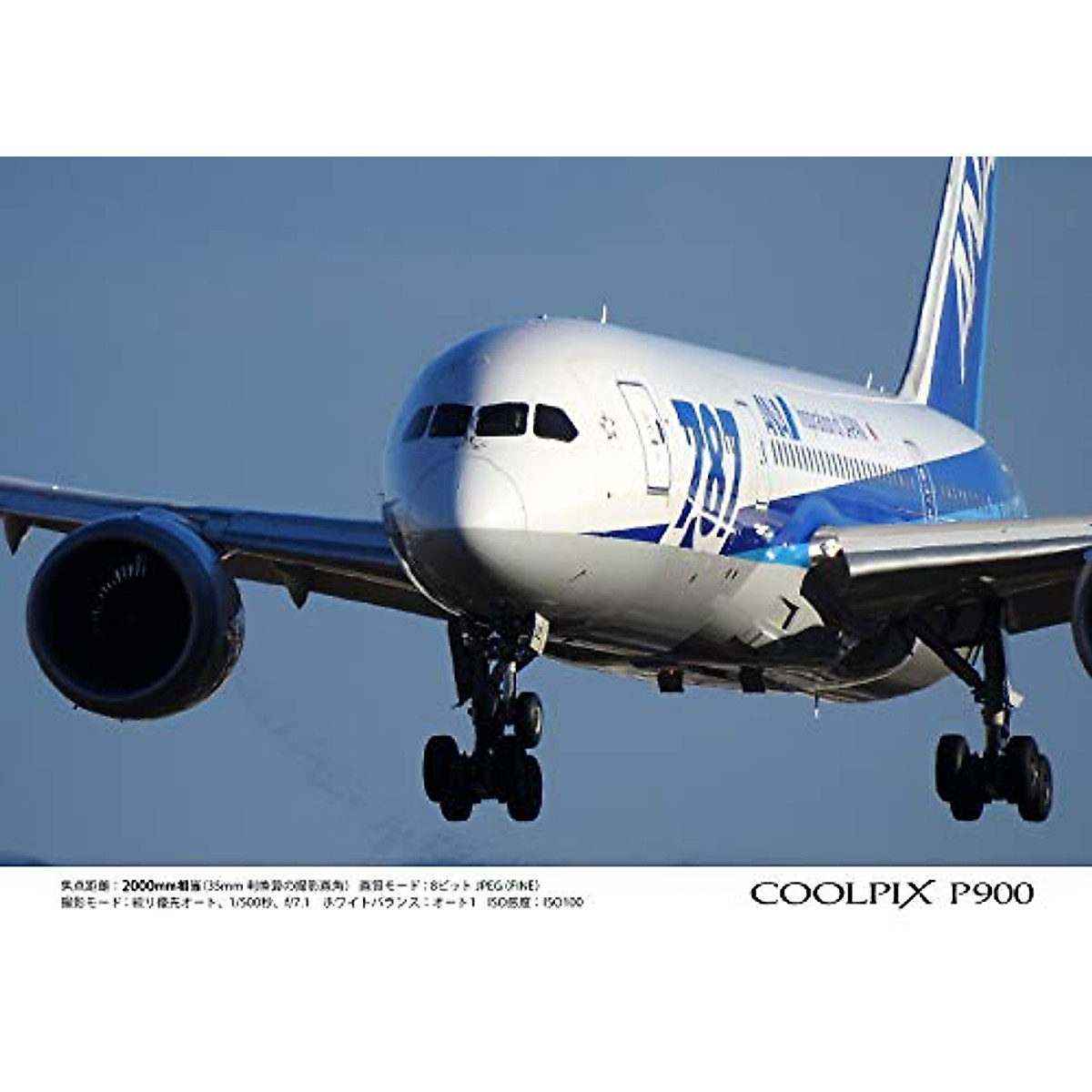 Nikon COOLPIX P900 16MP Digital Camera - International Version (No Warranty) Japan Version