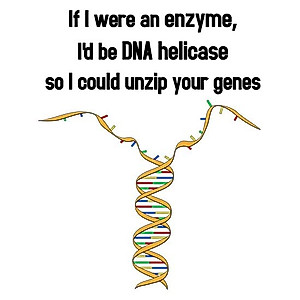 CafePress If I Were An Enzyme, I'd Be A DNA Helicase Mug Ceramic Coffee Mug, Tea Cup 11 oz