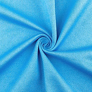 HOMEXCEL 8 Pack Microfiber Glass Cleaning Cloth,Streak Free,Reusable Microfiber Cleaning Cloth 14X16inch,for Cleaning Windows,Glasses,Mirrors,Screens,Stainless Steel and More(Blue