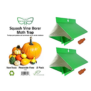 VivaTrap VT-100 Squash Vine Borer Moth Trap & Lure (2 Pack, 8 Week)