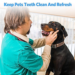 Professional Dental Tools, Langsum Stainless Steel Teeth Cleaning Tools for Dentist, Personal Using, Pets, Dental Hygiene Kit with Dental Scaler Pick, Tooth Tartar Scraper Remover and Storage Box