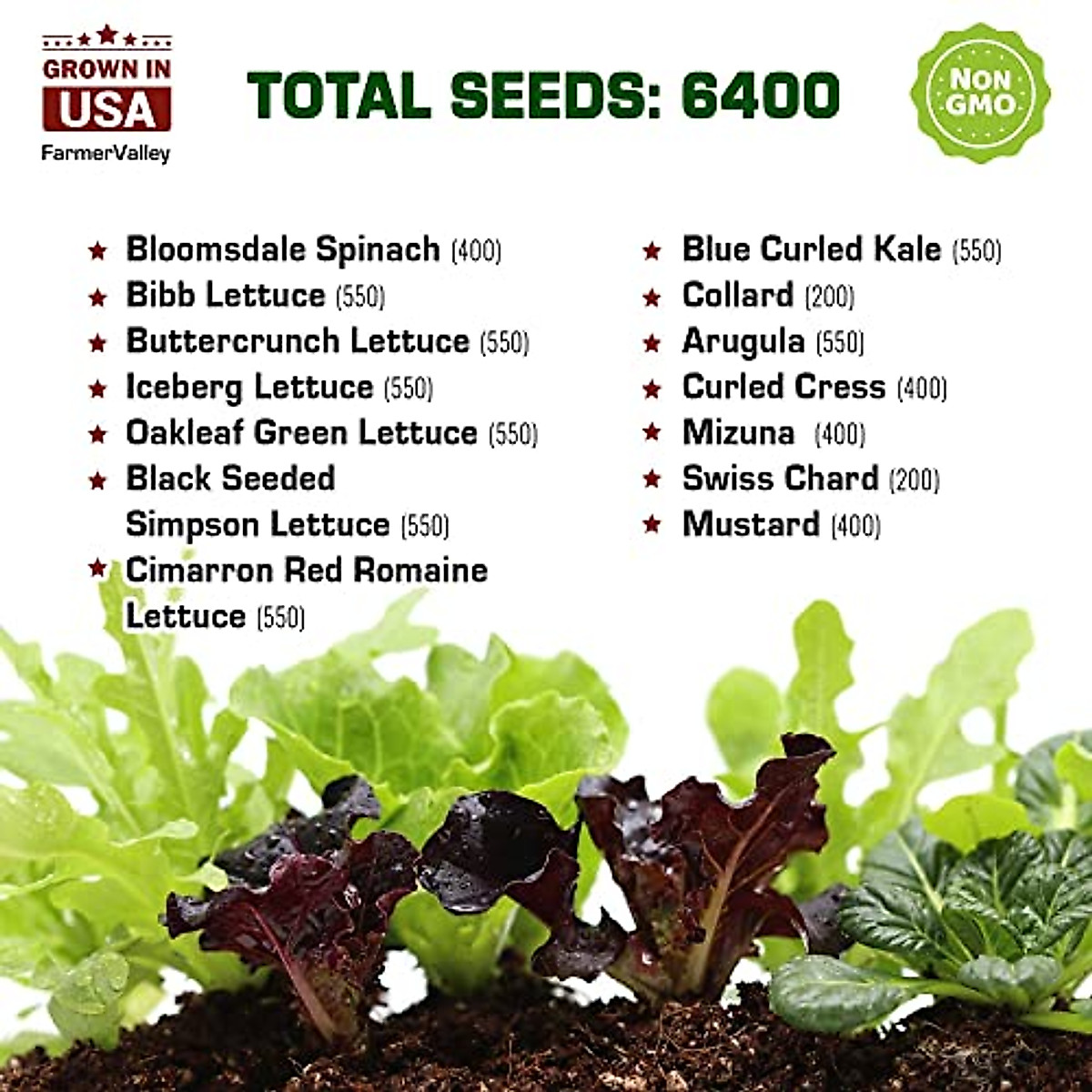 Lettuce & Salad Garden Seeds for Planting - 6400+ Non GMO USA Grown Vegetable Seeds for Home Growing - Heirloom Greens Seeds Good for Hydroponic, Indoor and Outdoor