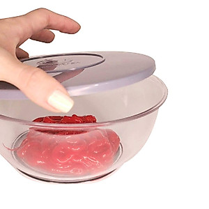 Colortrak Ambassador Collection Bowls, Crystal Clear for Easy Color Spotting, Thick Material for Durability, Lids for Color Preservation, Easy to Clean, Two Standard and Two Extra Large Bowls Included