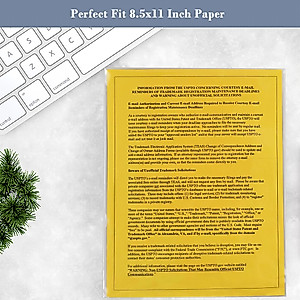 Miraclekoo 100Pcs 8-3/4 x 11-1/16 Inch Clear Self Sealing Cellophane Cello Bags Thick Plastic Sleeves - Fit 8.5x11 Inch Paper Photo Mats Envelopes Art Prints