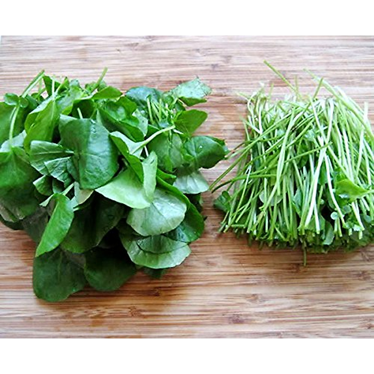 200+ Watercress Seeds Heirloom Non-GMO Delicious Superfood! Easy to Grow! from USA