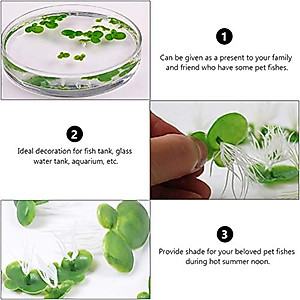 balacoo 36pcs Fish Tank Plant with Root Aquarium Floating Plants Artificial Aquarium Plants Fish Tank Plant Decorations Water Plants Ornament for Fish Tank Landscape Decor