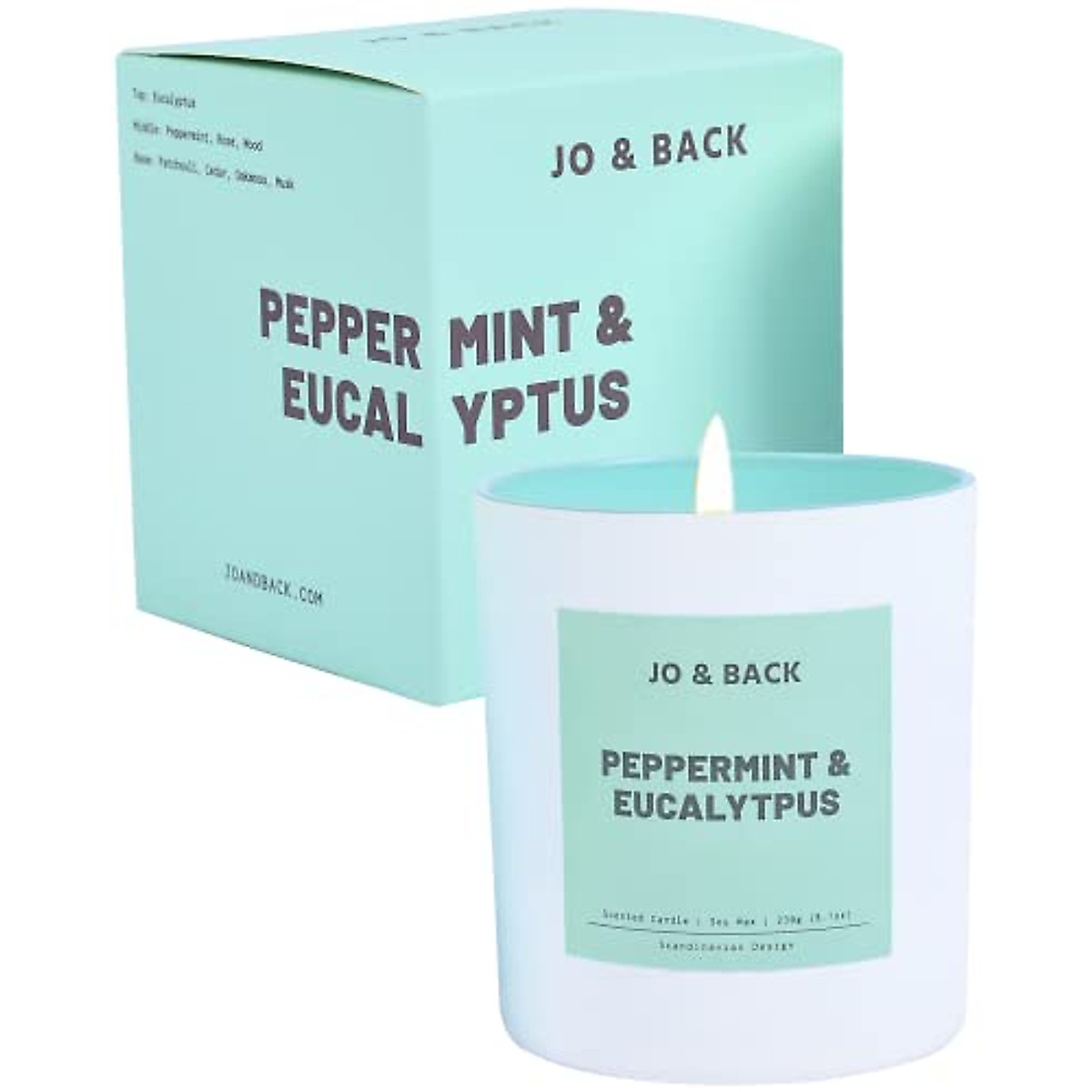 Peppermint & Eucalyptus, Premium Scented Candles, Non Toxic, 46h Burn, 8.1oz Soy Wax, Aromatherapy, Strong and Long Lasting Jar Candle for Home, Gifts for Women and Men, Spring Candle, Velas Aromatica