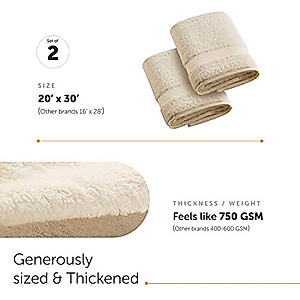 Joluzzy Hand Towel Set, (20 x 30 Inches) 100% Long-Staple Cotton - Extreme Soft / Plush / Thick - High Absorbent - Luxury Hotel Quality -  Ivory Hand Towel / Hair Towel - Set of 2
