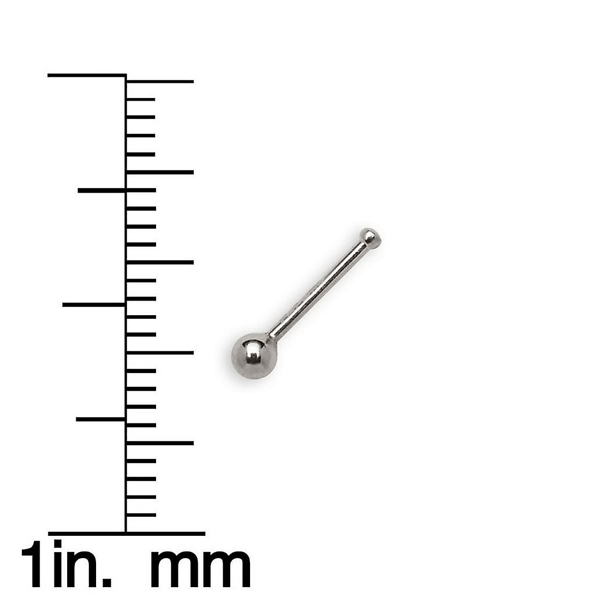 JewelryWeb Solid 14ct Gold 1.5 mm 20 gauge Ball Nose Stud Ring White Gold Jewelry Gifts for Women