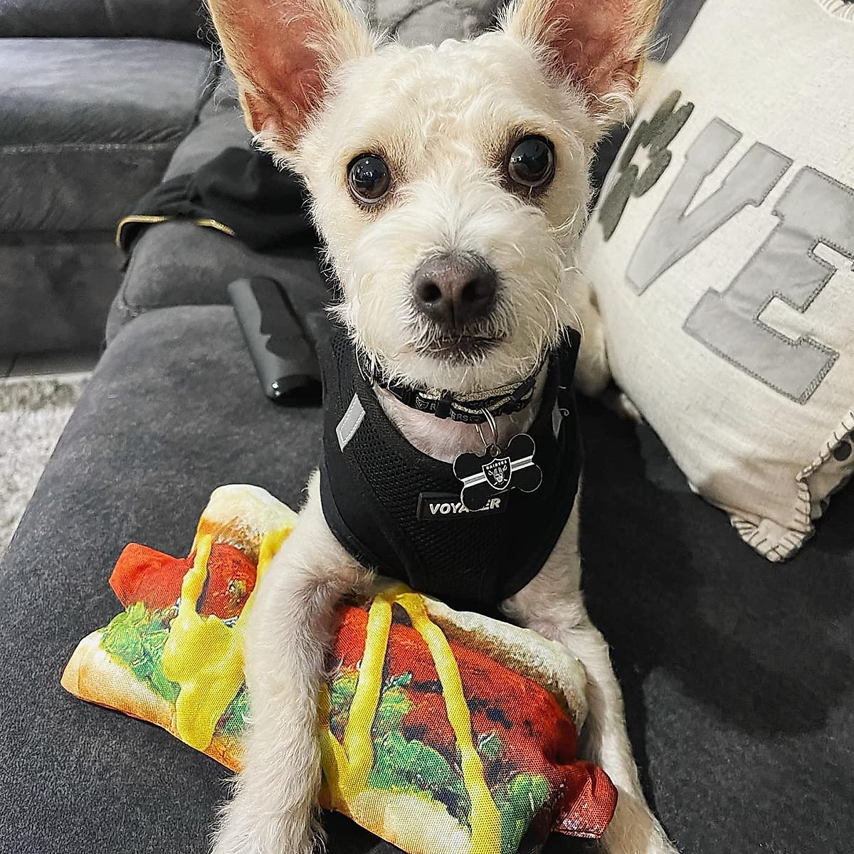 Doggijuana | Refillable Catnip Dog Toy | Naturally Calming | Catnip Grown in The USA (Hot Dog)
