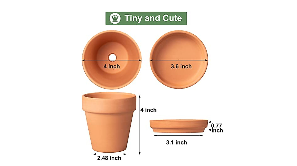 Premium 4 Inch Terracotta Pots with Saucer - 6 Pack