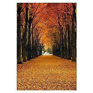 Funnytree 5x7ft Maple Leaves Photography Backdrop Autumn Fallen Yellow Tunnel Scenery Natural Season Background Fall Tree Street Road Photo Studio Props Photobooth Poster Photoshoot